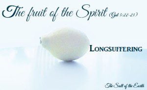 What Is The Fruit Faith According To The Bible?