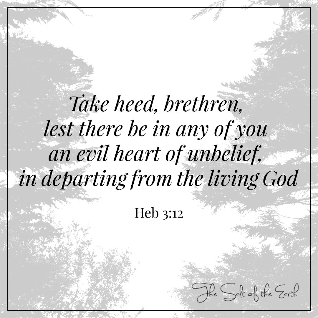 What Is An Evil Heart? | Hebrews 3:12 | Salt of the earth