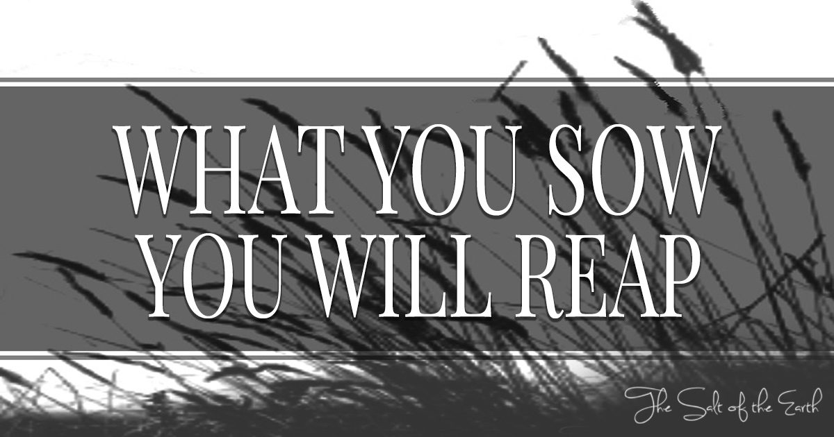 What You Sow You Will Reap - Meaning Galatians 6:7