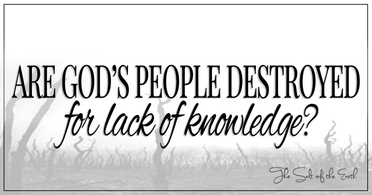 Are God's people destroyed for lack of knowledge?